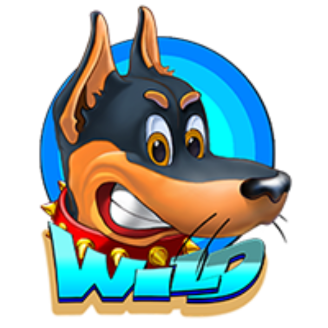 Wily Fox - WorldMatch