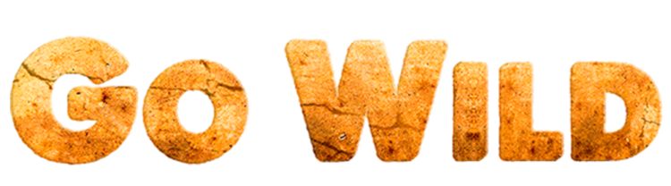 Go Wild - WorldMatch
