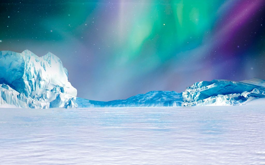 Polar Adventure - WorldMatch
